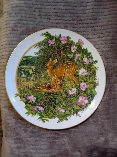 ASSIETTE DECORATIVE CONRAD Franz Tierjunge Aus Wald Und Feld 23,5cm EUR ...