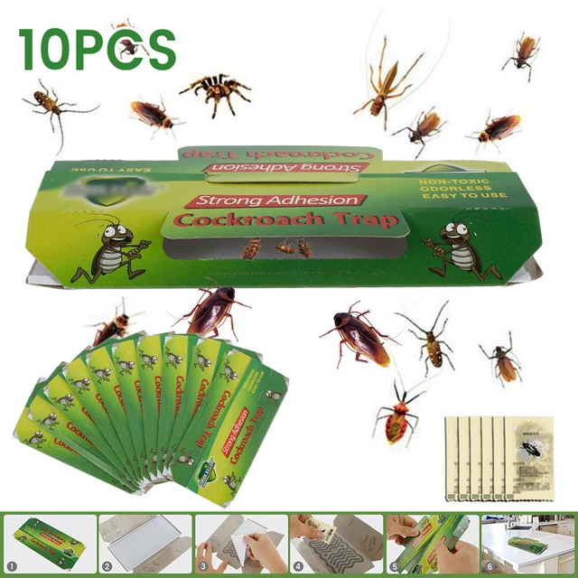 10X COCKROACH TRAP Bait Sticky Glue Cockroaches Insect Bug Pest Control ...
