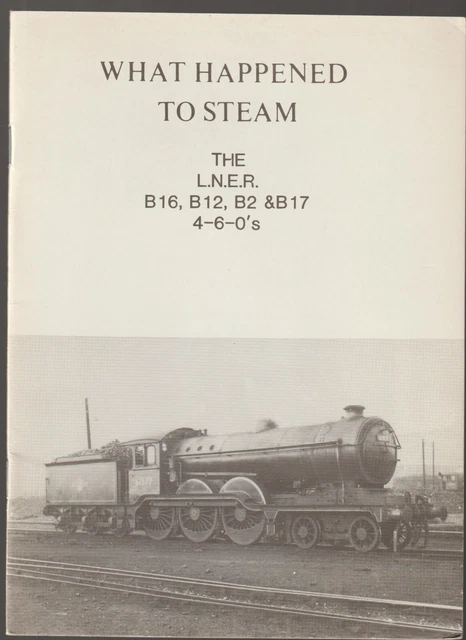 WHAT HAPPENED TO STEAM vol 18 THe L.N.E.R. B16, B12, B2 & B17 4-6-0s £5 ...