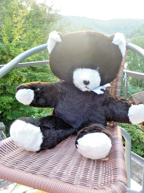 ALTER SCHÖNER 55CM großer Teddy Bär mit Plastik Augen dunkel braun DDR ...