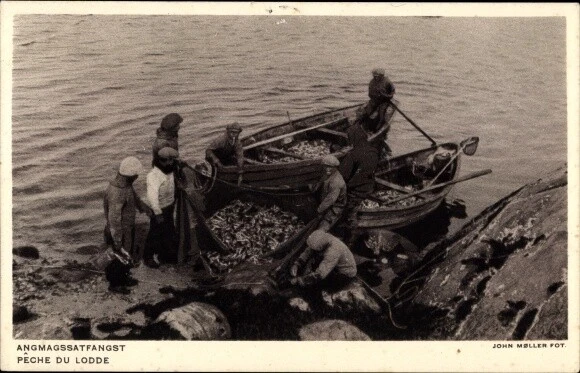 AK GRÖNLAND DÄNEMARK, Angmagssatfangst, Pêche du Lodde, Kapelan ...