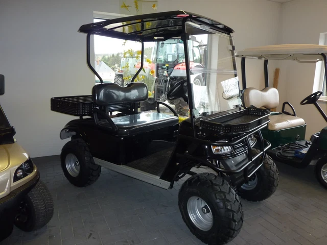 GOLFCART RTX 400 mit Transportbox, Elektrofahrzeug, Golf Cart EUR 6.990 ...