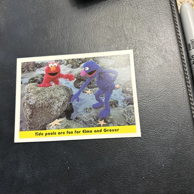 B22S SESAME STREET 1992 Ctw #48 Elmo And Grover Visit A Tide Pool £5.24 ...
