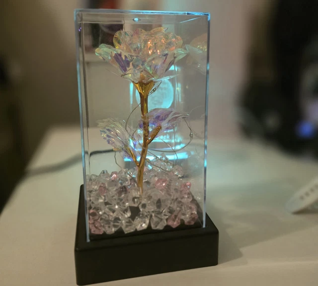 LED COLOUR CHANGING Rose Night Light Clear Display Case Crystal Base ...