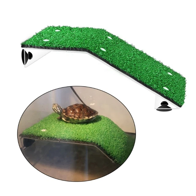 TURTLE BASKING PLATFORM Turtle Ladder Turtle Floating Island Moss ...