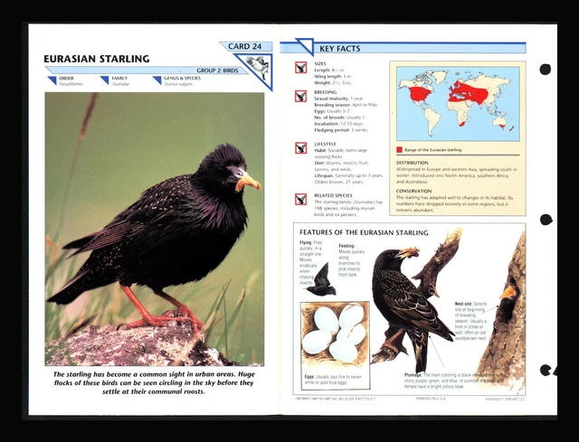 EURASIAN STARLING WILD Life Fact File Bird Animal Card Home School ...