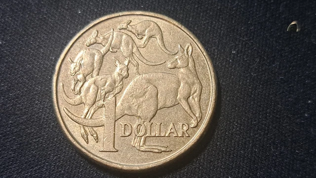 AUSTRALIA - Moneta Da 1 Dollar Del 2009 EUR 3,00 - PicClick IT