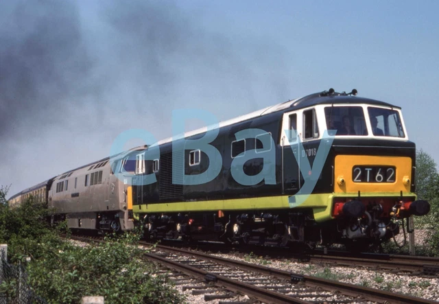 35MM RAILWAY SLIDE of Class 35 Hymek D7018 @ Didcot Copyright to Buyer ...