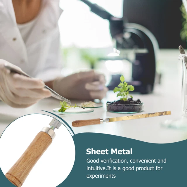 STRUMENTI DIDATTICI FISICA Bimetallica Esperimento Fisico Bambini ...