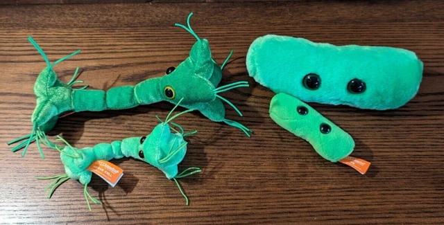 SET OF 4 GIANT STUFFED MICROBES NERVE CELL and TB Plush $29.97 - PicClick