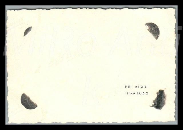 FOTO, WK2, 269.INF.DIV., Belgien, Beutepanzer Chenillette Nr. 81695 ...