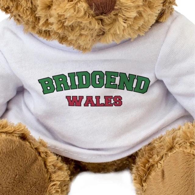 BRIDGEND, WALES - Teddy Bear - Cute Cuddly Soft Adorable - Welsh Gift ...