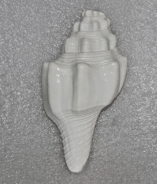 VINTAGE DAKSHINAVARTI LORD Krishna Puja Worship White Conch Right ...