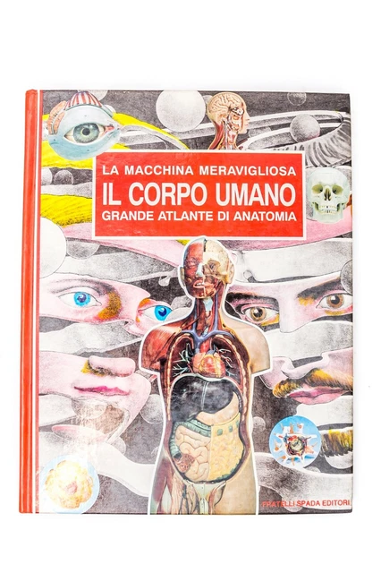 LIBRO IL CORPO umano Grande Atlante di anatomia A. Sanchez Spada 1992 ...