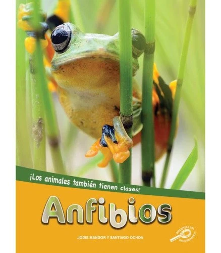ANFIBIOS: AMPHIBIANS (LOS Animales Tambien Tienen Clases) [Spanish ...
