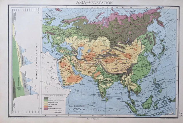 1942 MAP ASIA Vegetation Vertical Distribution Chart India China ...