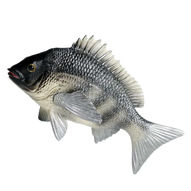 LARGE FISH MODELS Simulation African Crucian Carp Realistic Marine ...