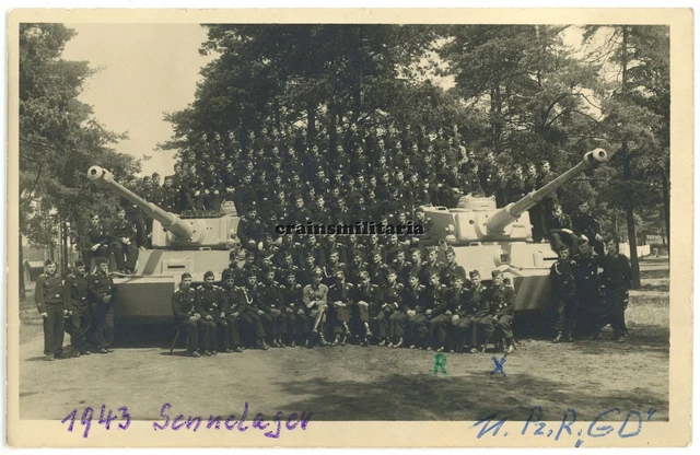 ORIG. FOTO TIGER Panzer VI Tank der GD mit s.Pz.Abt.504 im Sennelager ...