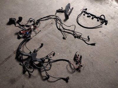 BMW E46 M54 Ecu Dme Motor Engine Wiring Harness Loom Ms43 (E36 Swap ...