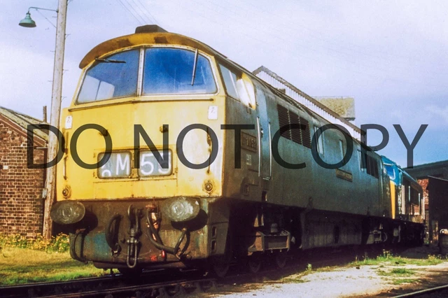 UK DIESEL TRAIN Railway Photograph Of Class 52 Western D1052. Rm52-140 ...