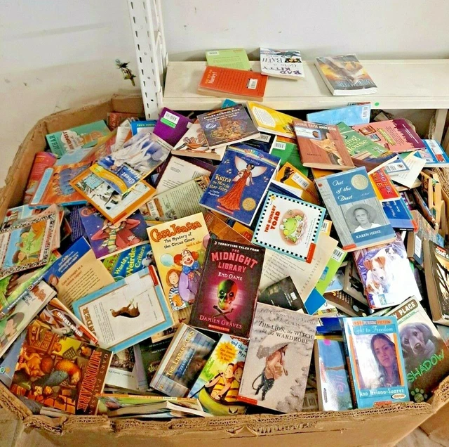 LOT OF 30 RANDOM Children's Kids Chapter Books Instant Library Unsorted ...