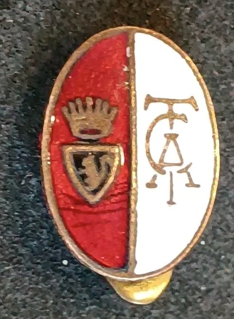 SPILLA PINS DISTINTIVO Stemma Simbolo Badge Logo Crest Fregio Torino ...