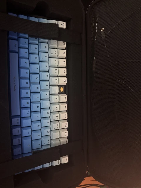 REZON X DREXLER Strayfe 75% Mechanical Gaming Keyboard EUR 12,50 ...