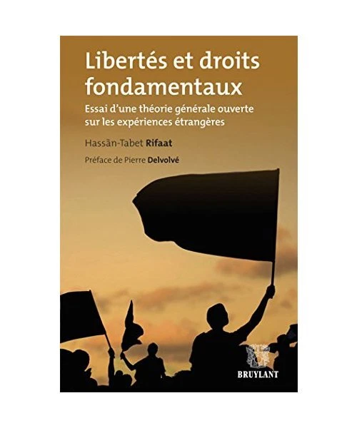 LIBERTÉS ET DROITS fondamentaux: Essai d'une théorie générale ouverte sur le EUR 40,01 - PicClick FR