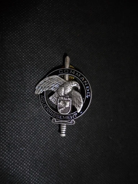 FRENCH ARMY COMMANDO Training Centre Aguerrissement Beret Badge £14.99 ...