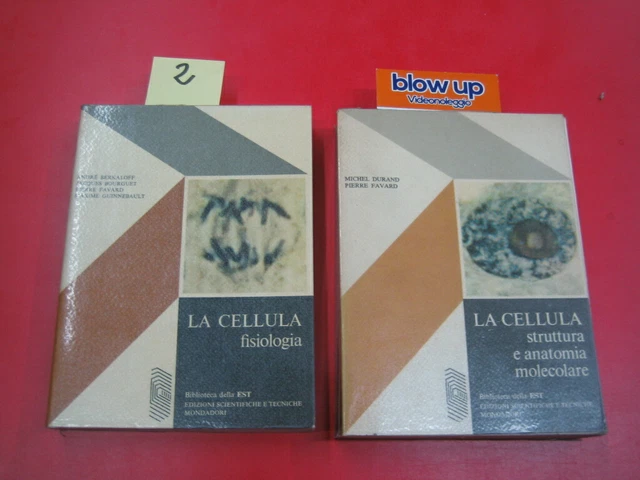 LA CELLULA FISIOLOGIA + La Cellula Struttura E Anatomia Molecolare-Usato EUR 11,00 - PicClick IT