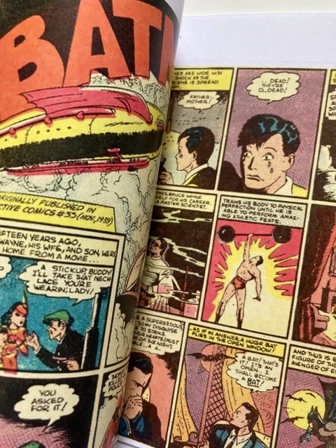 BATMAN AND ROBIN Denis Parry History Batgirl Bill Finger DC RARE Comics ...