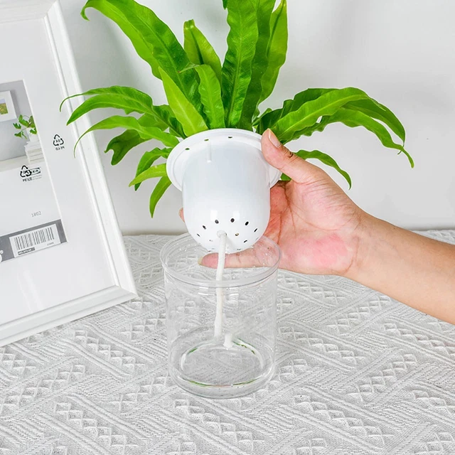 POTS DE PLANTES auto-arrosants transparents faciles utiliser 2 pi ces ...
