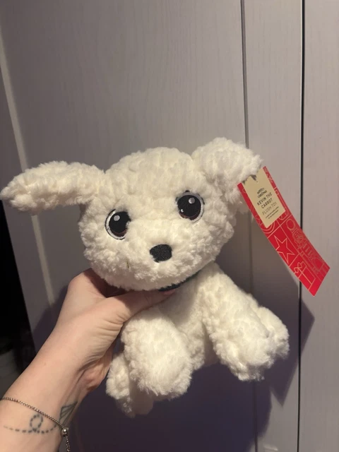 ALDI KEVIN THE Carrot 2025 Cauli Dog Teddy Soft Toy Brand New With Tags ...