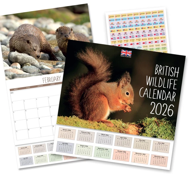 2026 CALENDAR - 2026 UK British Wildlife. One Month to View. A3 Yes £10 ...