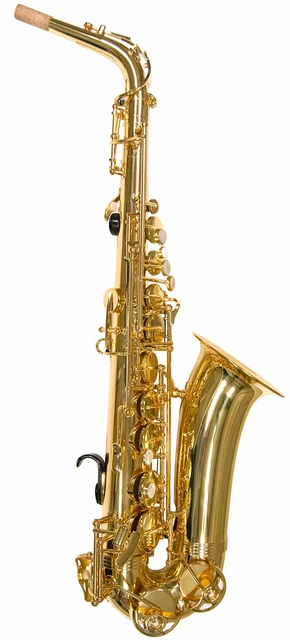 TREVOR JAMES ALPHASAX Alto Sax Costume - Doré Laque EUR 695,00 ...