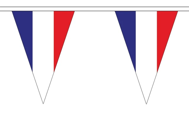 FRANCE 20 METRE TRIANGLE BUNTING 30 FLAGS flag TRIANGULAR 54 FLAGS ...