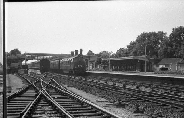 1961 M JACOBS 35mm Neg BR Warship Class 42 B-B D810 Cockade passing ...