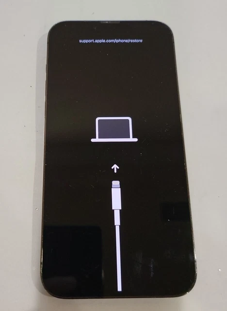 APPLE IPHONE 13 Pro Max 128 GB AT&T COSÌ COM'È bloccato in modalità DFU ...