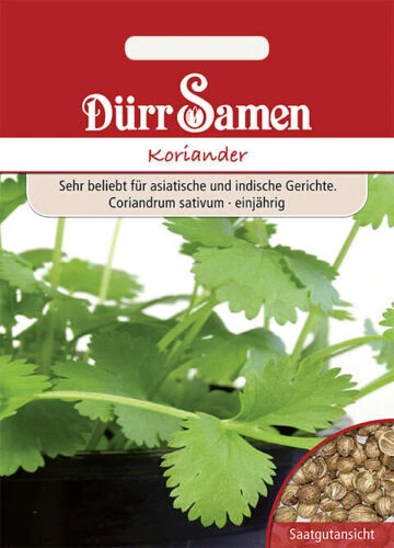 CORIANDRE SEMENCES CORIANDRUM Sativum Graines De Dürr Samen Env. 200 ...