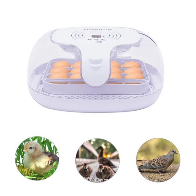 16 EGG INCUBATOR Fully Automatic Digital Breeding Machine Breeding ...