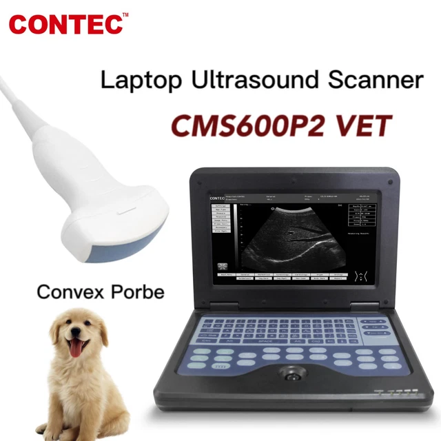 VETERINARY ULTRASOUND SCANNER Diagnostic Instrument B Convex Probe £ ...