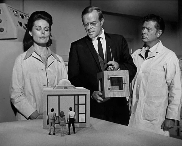 LAND OF THE Giants 10" x 8" Photograph no 20 £4.00 - PicClick UK