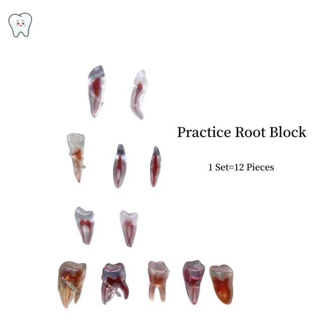 12/SET DENTAL FILE Blocks Practice File Block Root Canal Training ...
