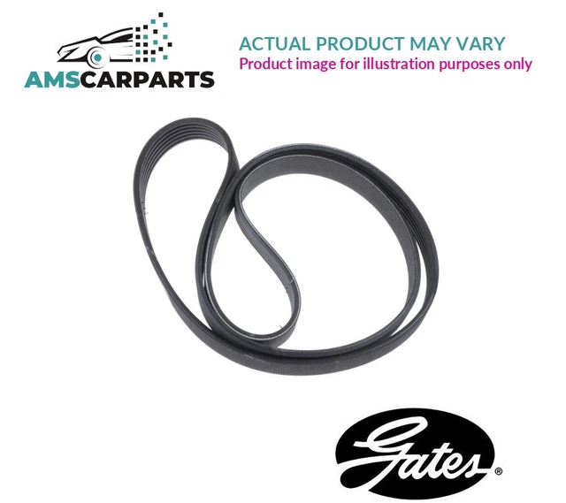 DRIVE BELT MICRO-V Multi Ribbed Belt 7Pk880 Gates New Oe Replacement £ ...