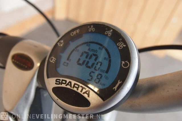 DISPLAY RUND SPARTA Batavus Hercules Koga Ion Trelock E-bike EUR 95,00 ...