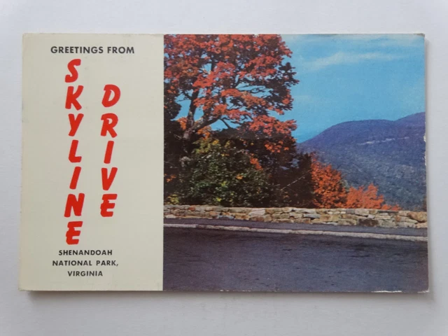 SKYLINE DRIVE, SHENANDOAH National Park, Virginia American/USA Postcard ...