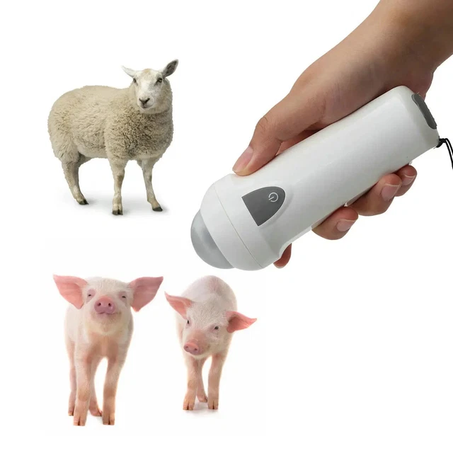 MINI WIFI WIRELESS Ultrasound Scanner Convex Array Probe 3.5Mhz USB for ...
