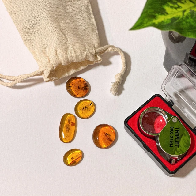 AMBER COLLECTION / 5 Pieces + Magnifier Burmese amber fossil genuine ...