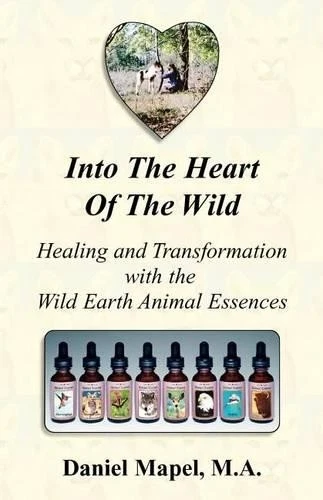 DANIEL MAPEL INTO the Heart of the Wild (Healing and Transformation ...