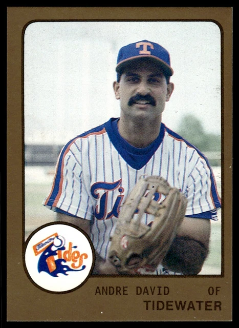 1988 PROCARDS ANDRÉ David Tidewater Tides #1596 EUR 3,29 - PicClick FR